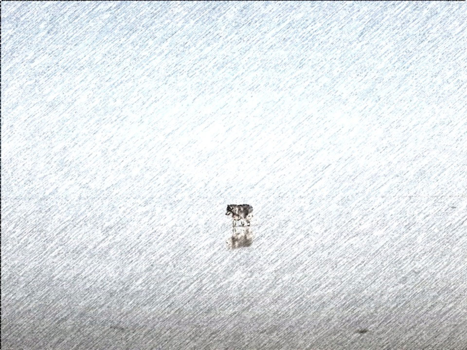 Publications - Chris Connolly, Irish writer (official website)